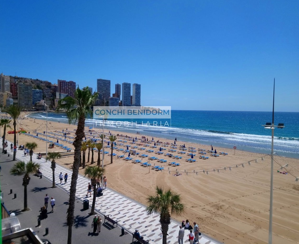 LAS DAMAS (ref: 330) – Apartamentos Conchi Benidorm
